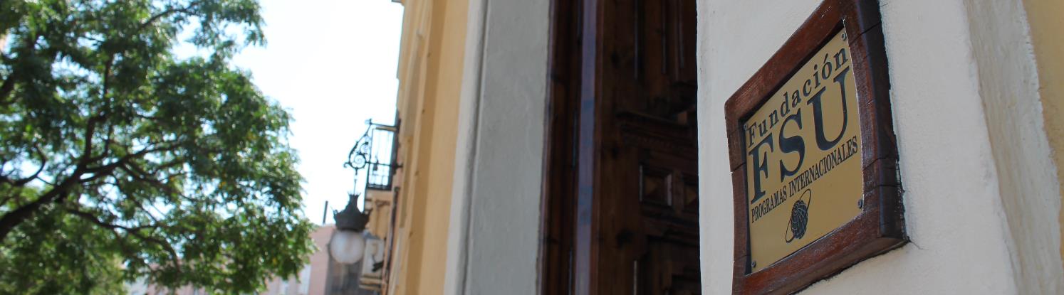 FSU International Programs